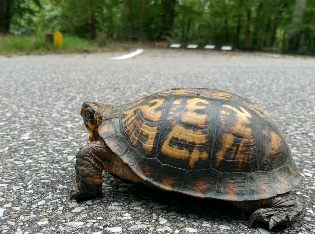 How Patient Are You? - Optimistic Beacon